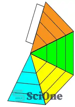 دانلود کتاب 3D Ecological Pyramid Model Lesson. Biomass, Energy and ...