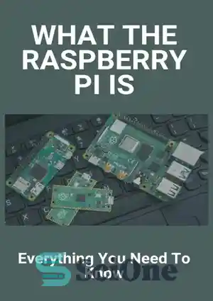 خرید و قیمت دانلود کتاب What The Raspberry Pi Is: Everything You Need To Know: Raspberry Pi 3 ...